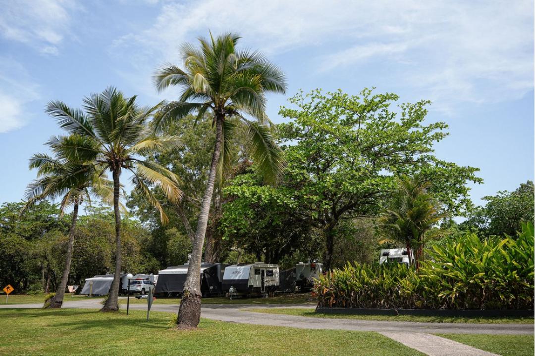 Daintree Beach Resort Official Site - Sites